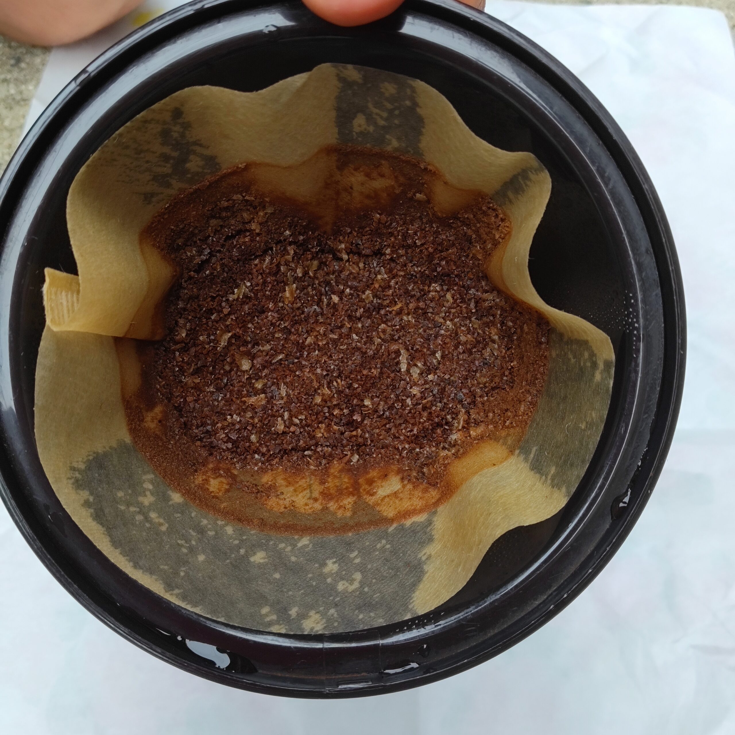 Dry Your Coffee Grounds Before Throwing Them Away! - mame-eco